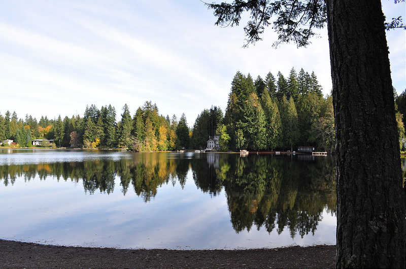 Sammamish - Tyler Staples